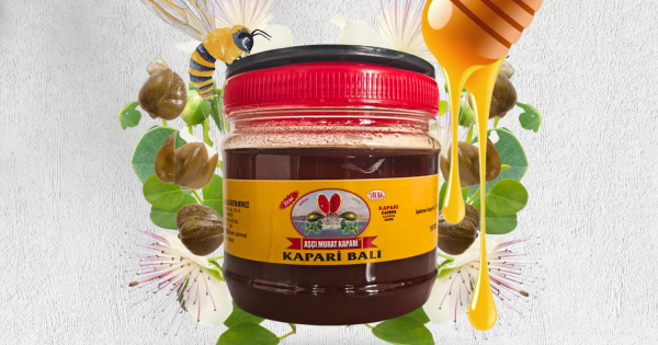 Aşçı Murat ile Kapari Çayı, Tomurcuğu Daha Fazlası
